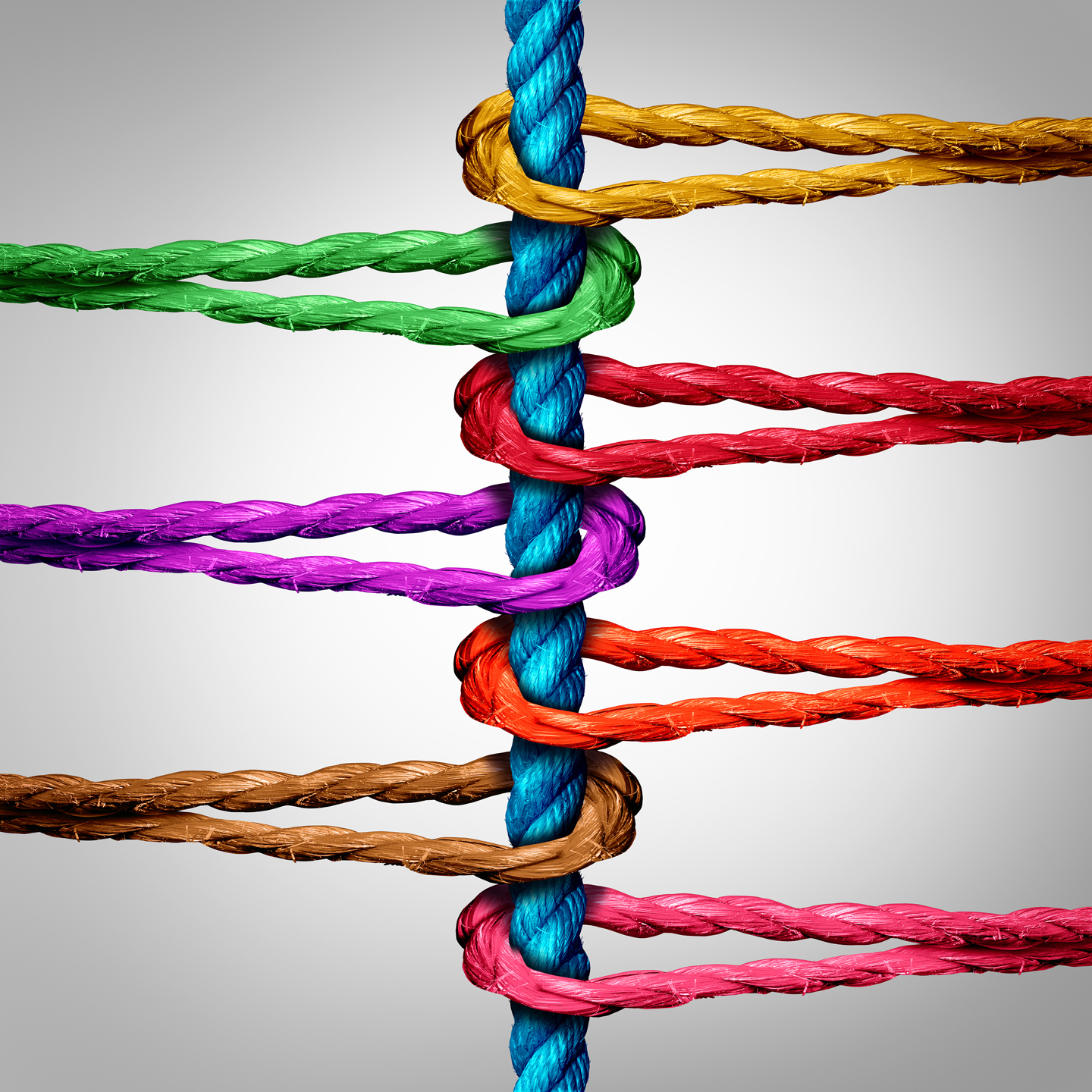 Who we are - Viva 365 Insurance Brokers