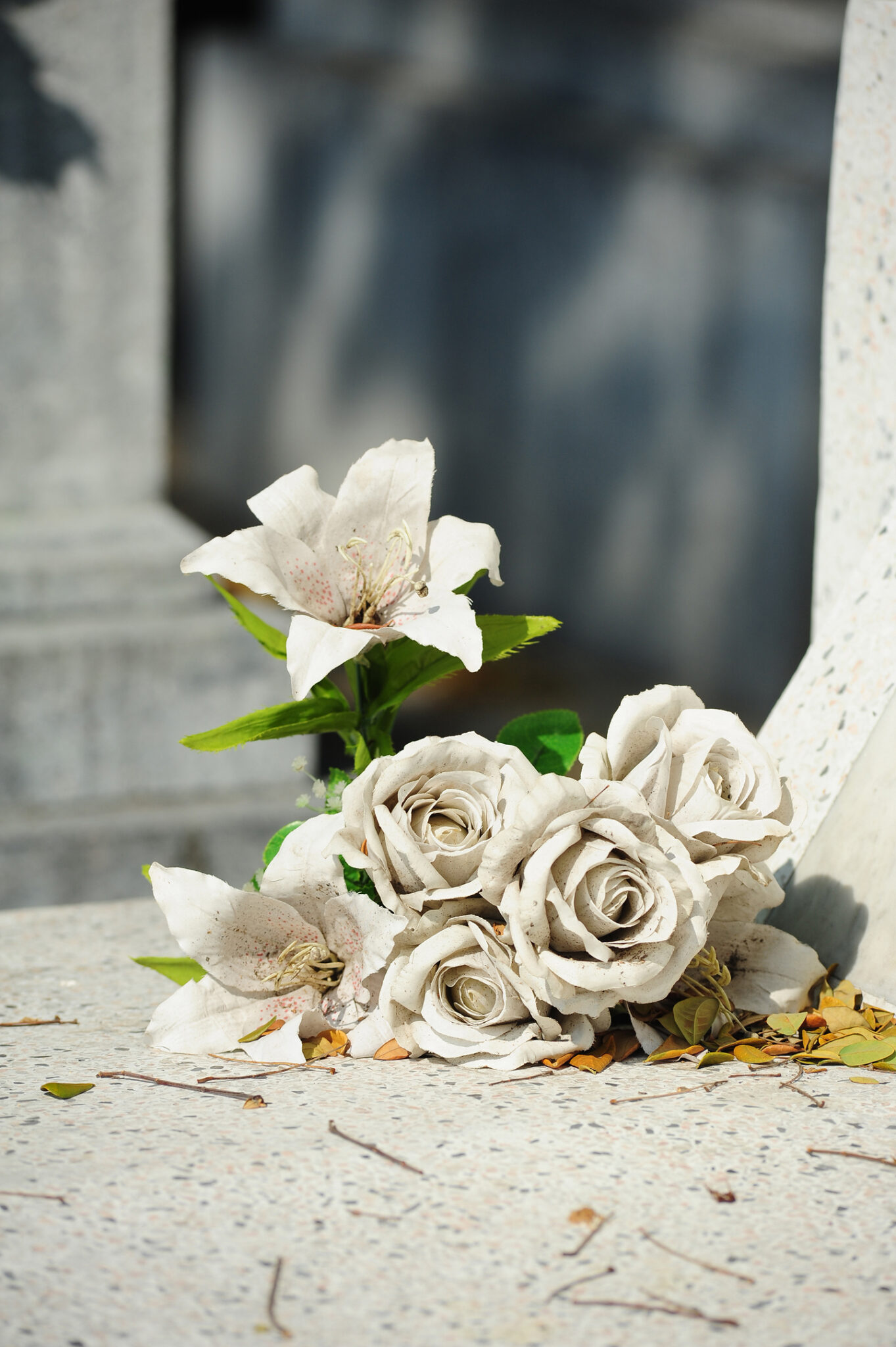 Last Expense Cover - Viva 365 Insurance Brokers